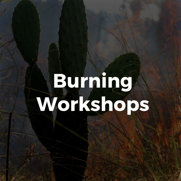 Services – Fire Lore