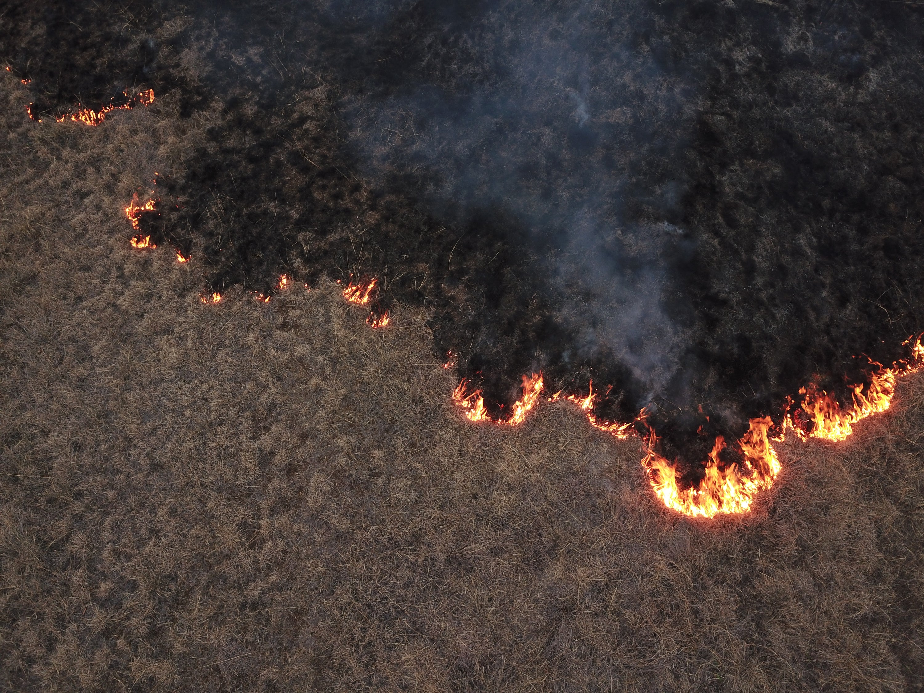 Cultural Burning Workshops – Fire Lore