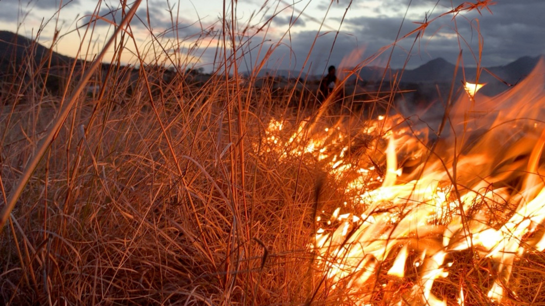 Products – Fire Lore